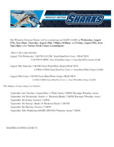 Sharks Set Dates for Main Camp | Wheatley Omstead Sharks