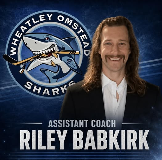 Babkirk Named Assistant Coach | Wheatley Omstead Sharks
